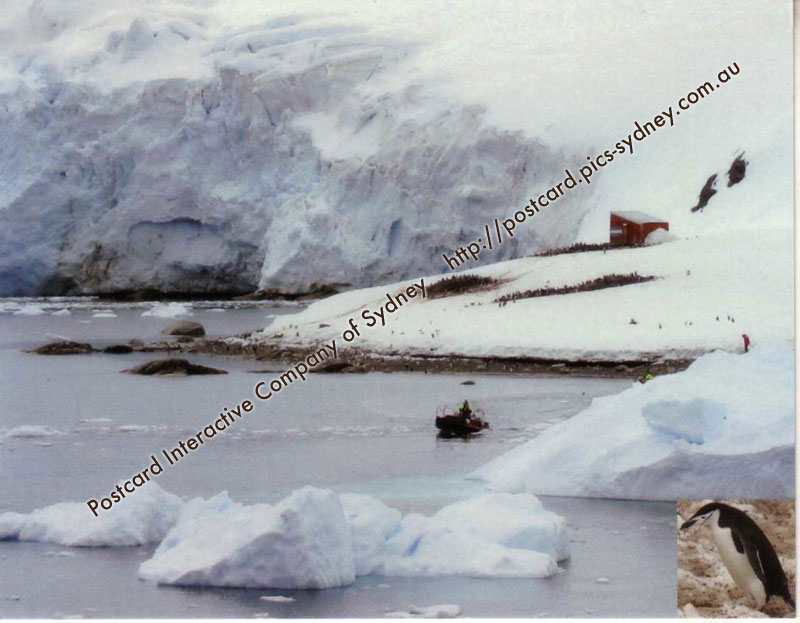 Arctic & Antarctica Islands : Postcard Interactive